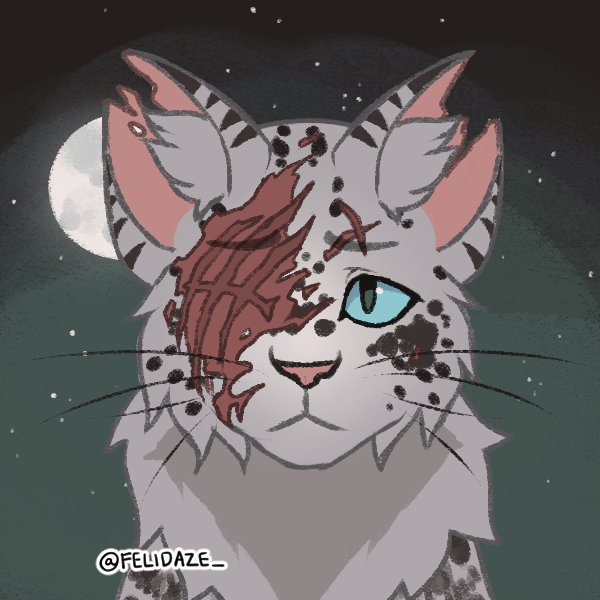 Pebbleshine – Chosen of StarClan